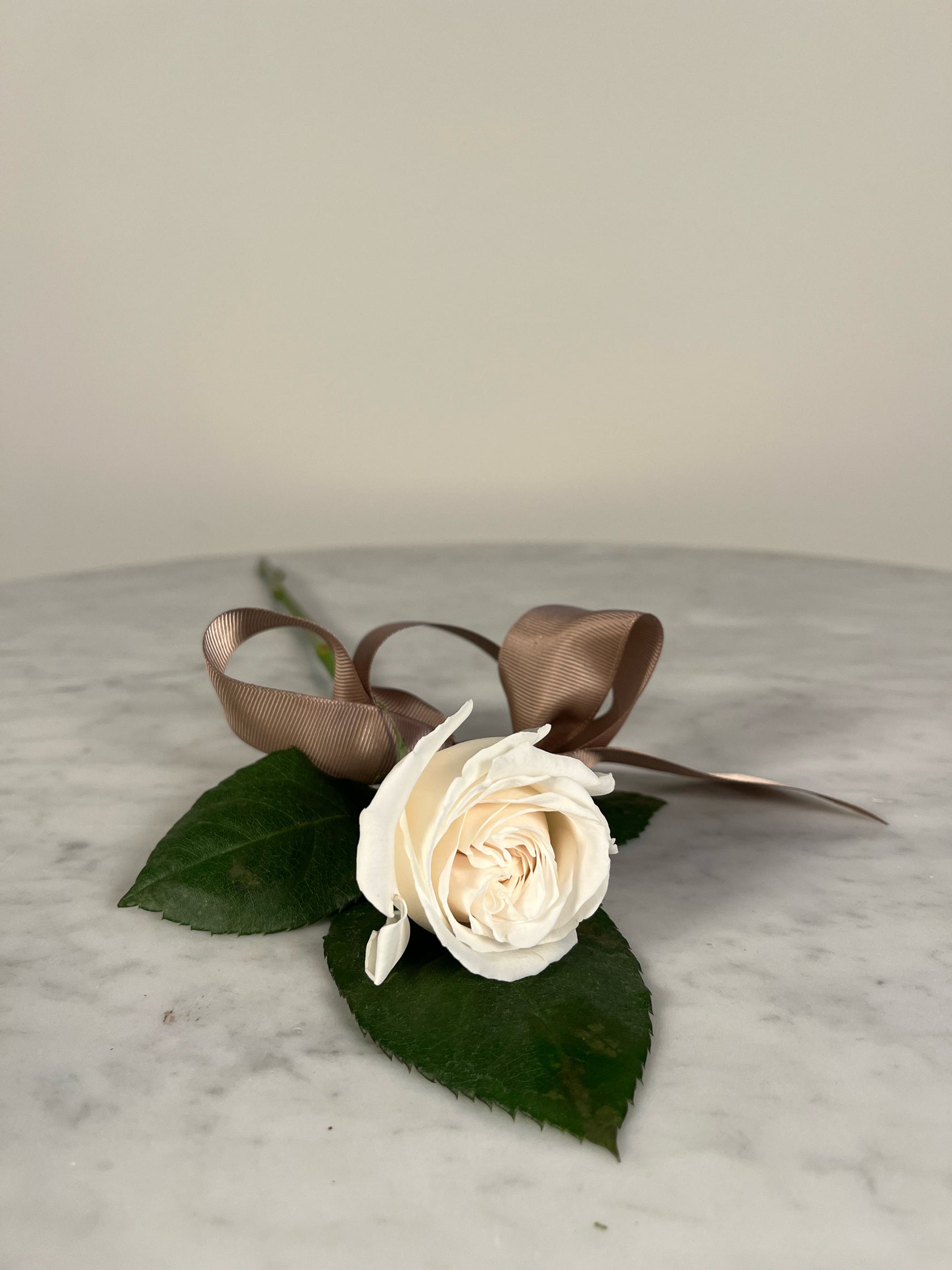 White Romance Roses – Whispering Flower